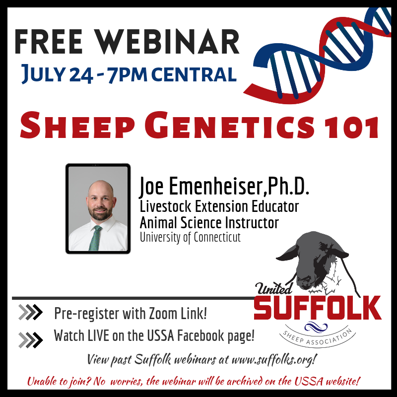 Sheep Genetics 101 Webinar by United Suffolk Sheep Association
